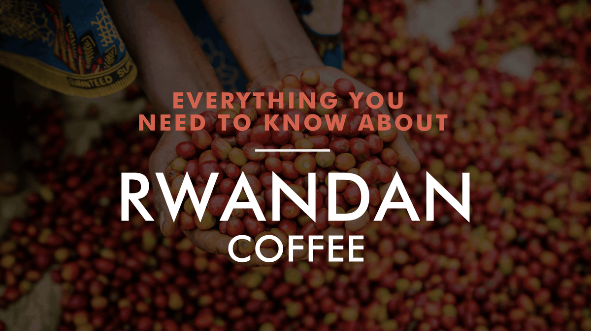 Everything You Need to Know About Rwandan Coffee